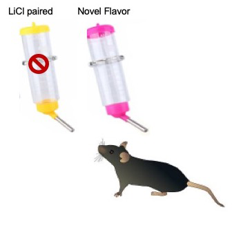 Taste Aversion Classical Conditioning